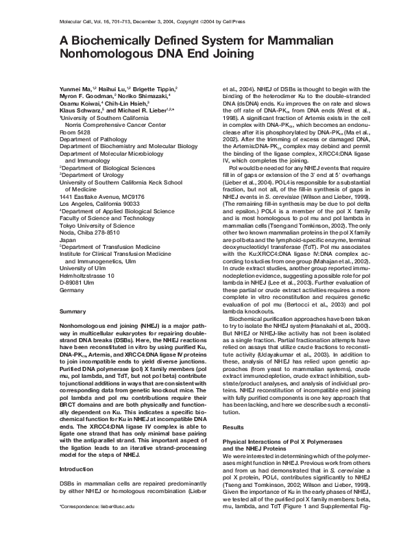 (PDF) A Biochemically Defined System for Mammalian Nonhomologous DNA ...