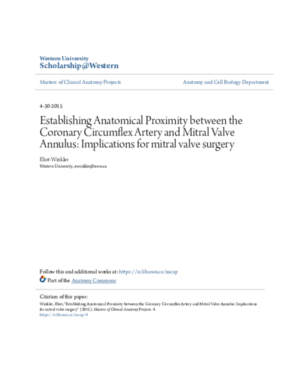 (PDF) Establishing an Anatomical Proximity Between the Coronary ...