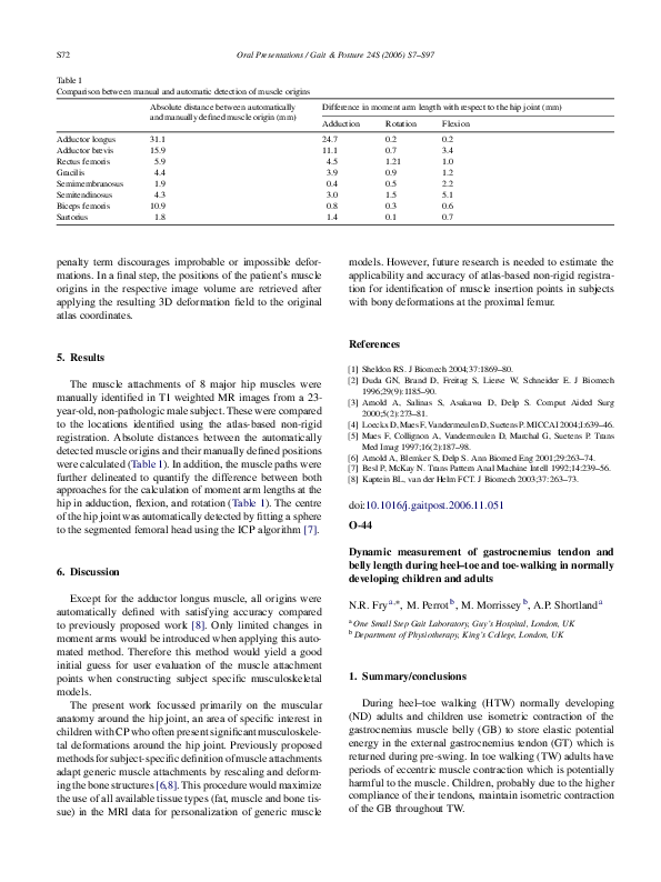 (PDF) Dynamic measurement of gastrocnemius tendon and belly length ...