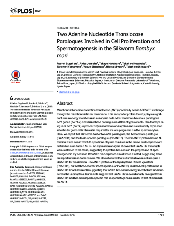(PDF) Two Adenine Nucleotide Translocase Paralogues Involved in Cell ...