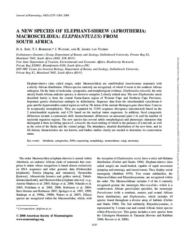 (PDF) A New Species of Elephant-shrew (Afrotheria: Macroscelidea ...