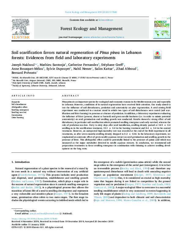 (PDF) Soil scarification favors natural regeneration of Pinus pinea in ...
