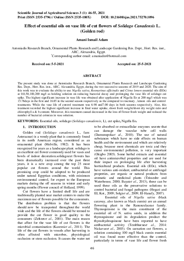 (PDF) Effect of essential oils on vase life of cut flowers of Solidago ...