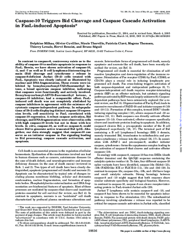 (PDF) Caspase10 Triggers Bid Cleavage and Caspase Cascade Activation in ...