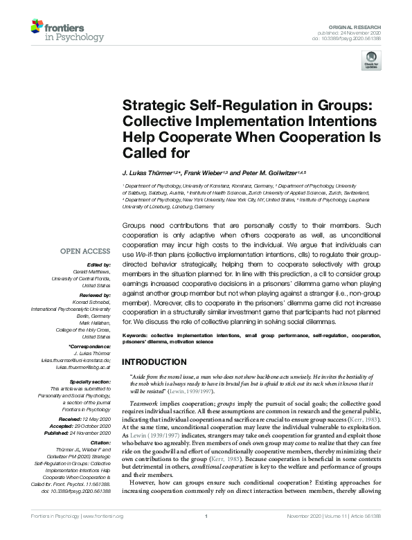(PDF) Strategic Self-Regulation in Groups: Collective Implementation ...