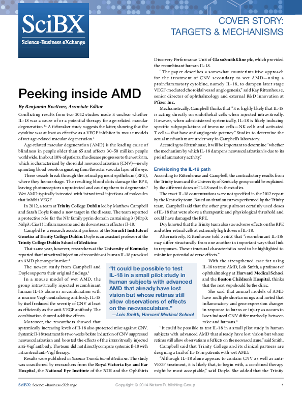 (PDF) Peeking inside AMD
