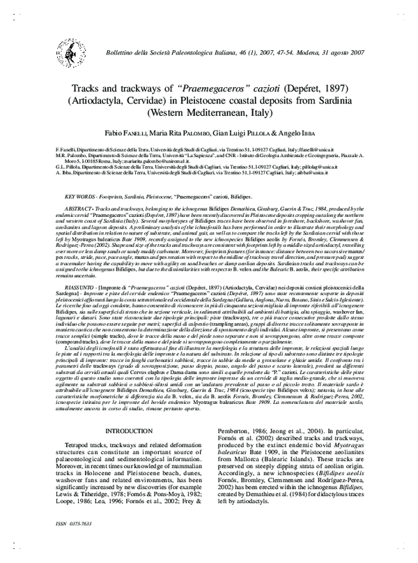 (PDF) Tracks and trackways of “Praemegaceros” cazioti (Depéret, 1897 ...