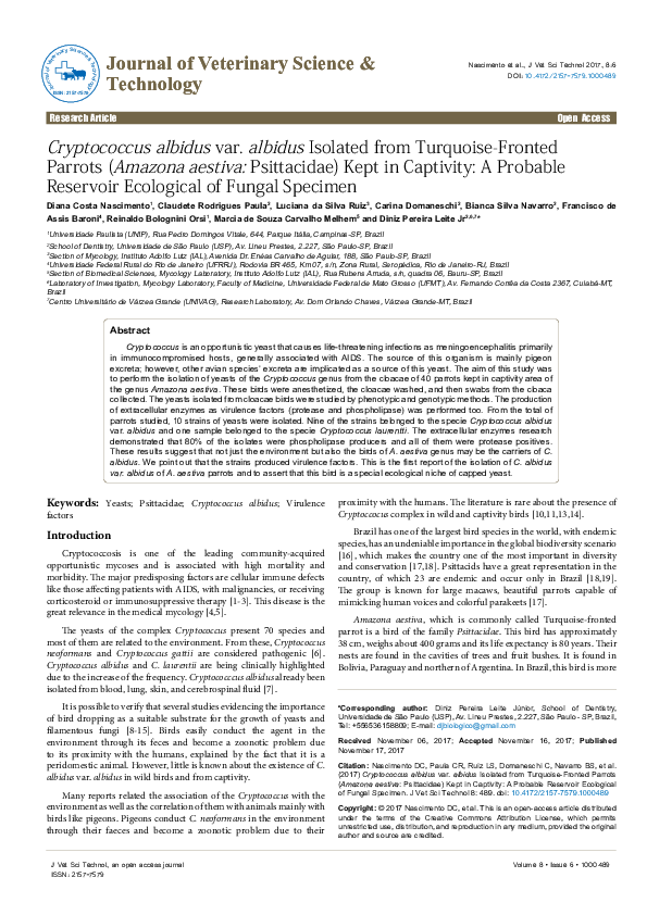(PDF) Cryptococcus albidus var. albidus Isolated from Turquoise-Fronted ...