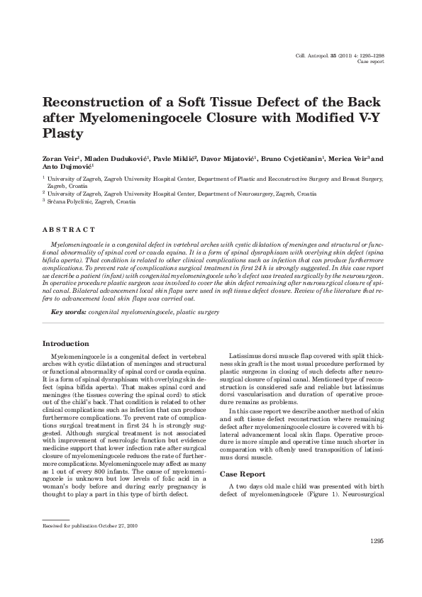 (PDF) Reconstruction of a soft tissue defect of the back after ...
