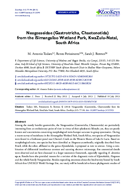 (PDF) Neogosseidae (Gastrotricha, Chaetonotida) from the iSimangaliso ...