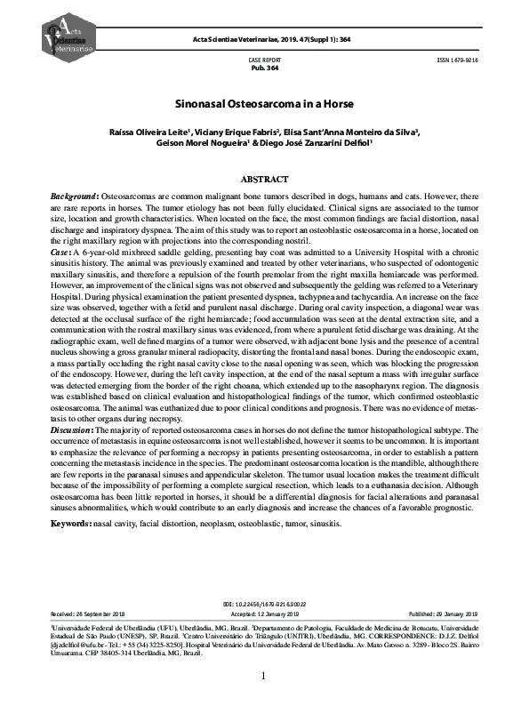 (PDF) Sinonasal Osteosarcoma in a Horse