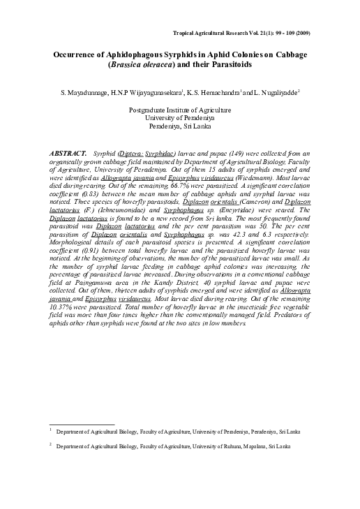 (PDF) Occurrence of aphidophagous syrphids in aphid colonies on cabbage ...