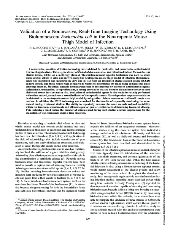 (PDF) Thigh Model of Infection in the Neutropenic Mouse Escherichia ...