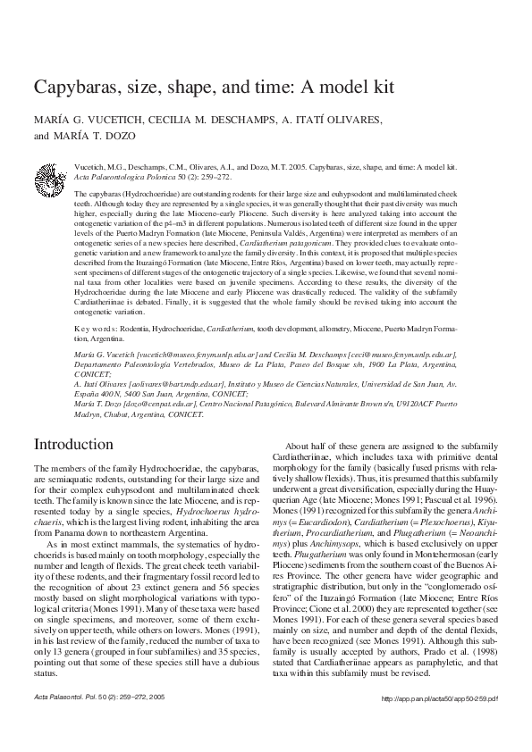 (PDF) Capybaras, size, shape, and time: A model kit