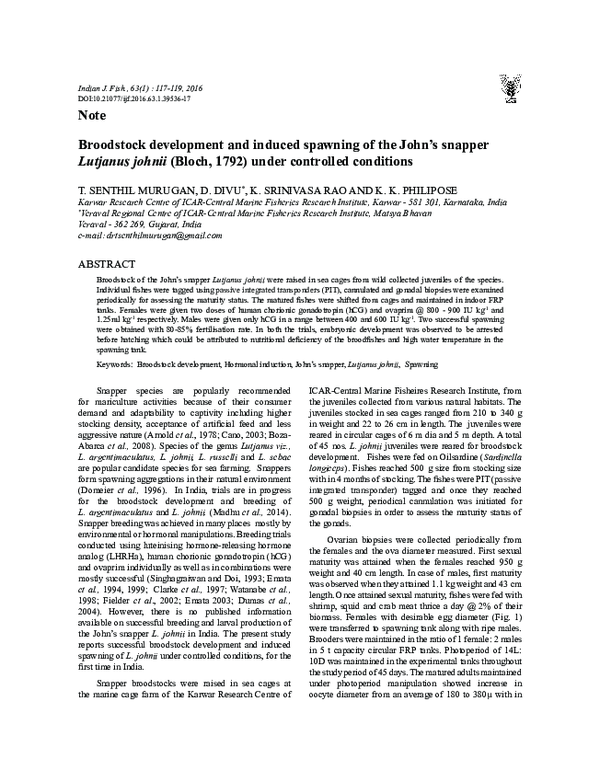(PDF) Successful spawning of John’s snapper Lutjanus johnii (Bloch ...