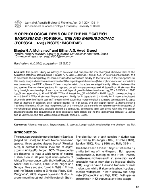 (PDF) Morphological Revision of the Nile Catfish Bagrus Bayad (Forsskal ...