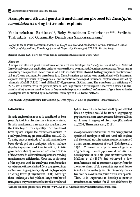 (PDF) A simple and efficient genetic transformation protocol for ... (PDF) A simple and efficient genetic transformation protocol for ...