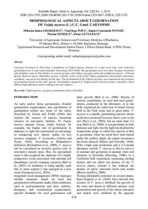 (PDF) Morphological aspects about germination of Vulpia myuros (L.) C.C ...