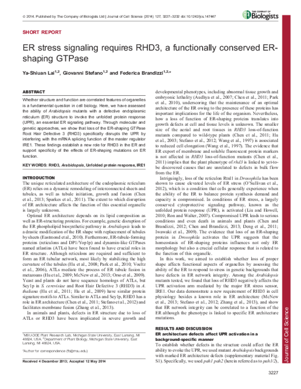 (PDF) ER stress signaling requires RHD3, a functionally conserved ER ...