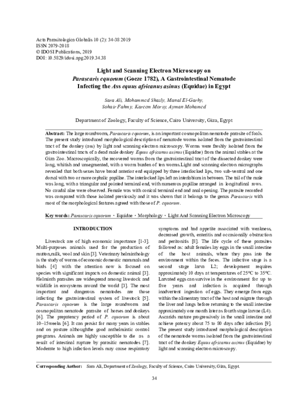 (PDF) Light and Scanning Electron Microscopy on Parascaris equorum ...