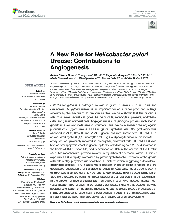 (PDF) A New Role for Helicobacter pylori Urease: Contributions to ...