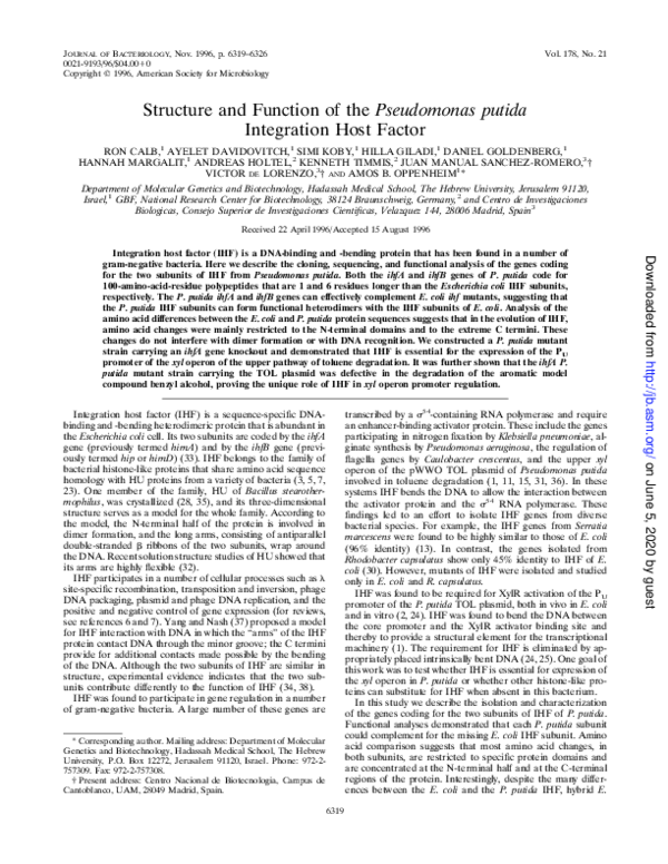 (PDF) Structure and function of the Pseudomonas putida integration host ...