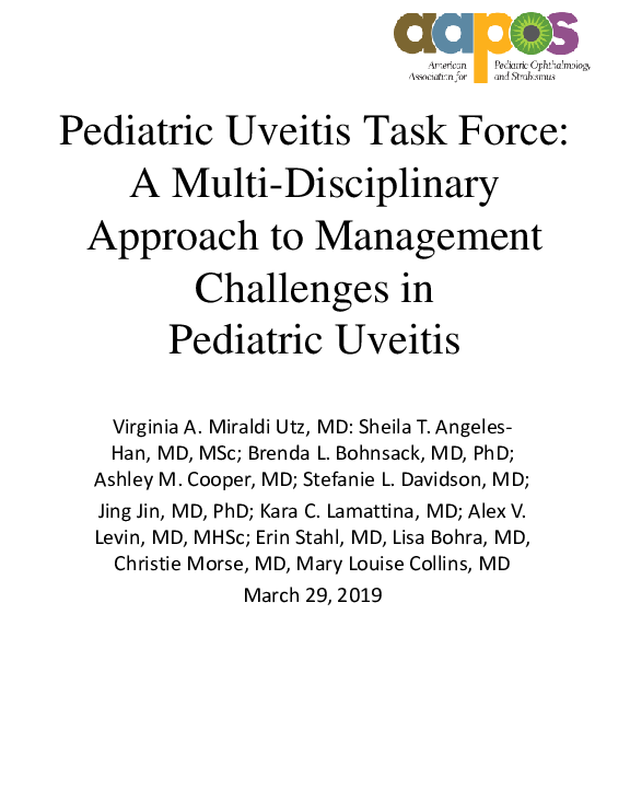 (PDF) Pediatric Uveitis Task Force: a multidisciplinary approach to ...