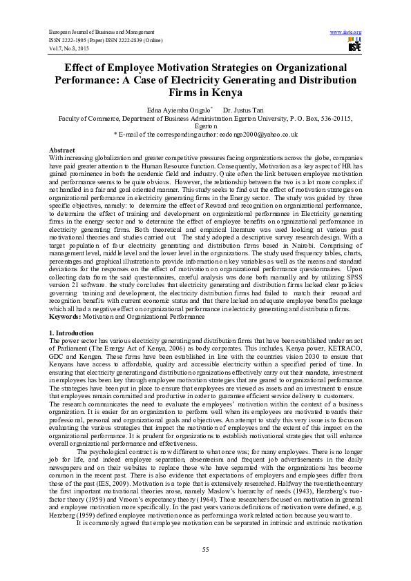 (PDF) Effect of Employee Motivation Strategies on Organizational Performance: A Case of ...