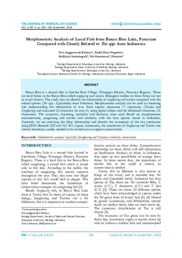 (PDF) Morphometric Analysis of Local Fish from Banyu Biru Lake ...