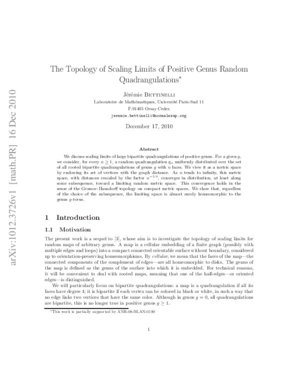 (PDF) The topology of scaling limits of positive genus random quadrangulations
