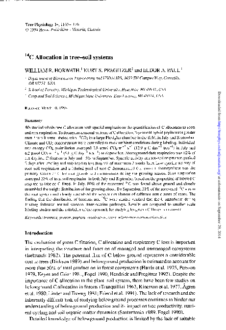 (PDF) 14C Allocation in tree-soil systems
