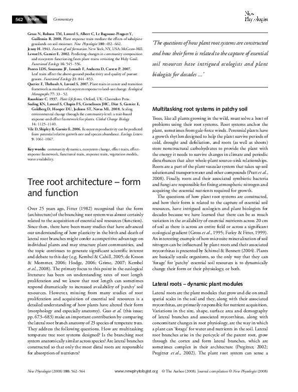 (PDF) Tree root architecture--form and function
