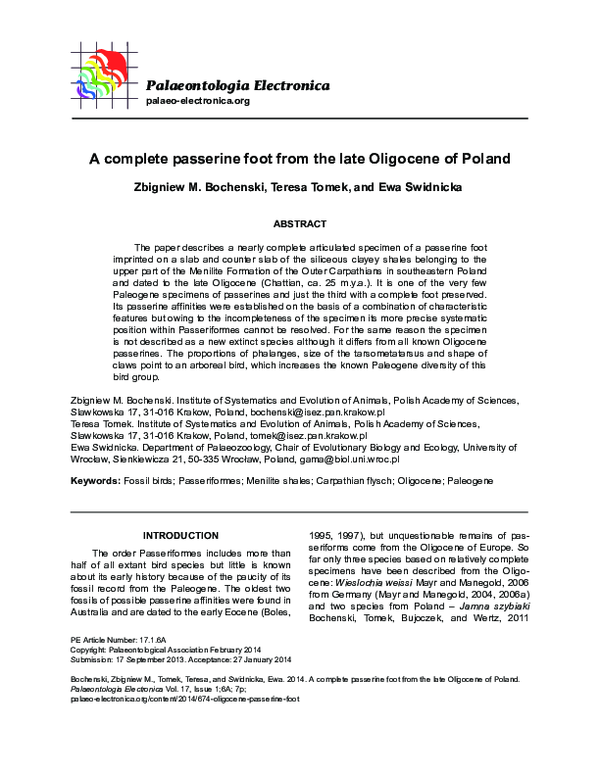 (PDF) A complete passerine foot from the late Oligocene of Poland