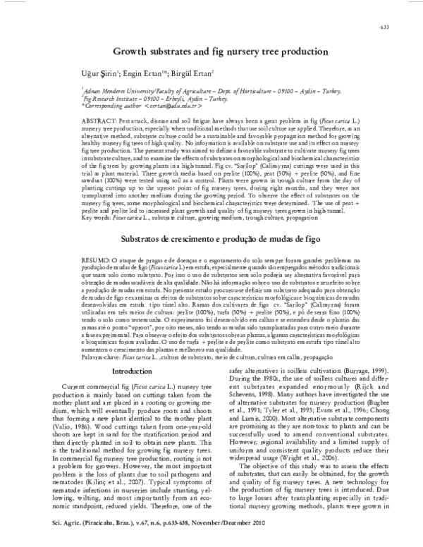 (PDF) Growth substrates and fig nursery tree production