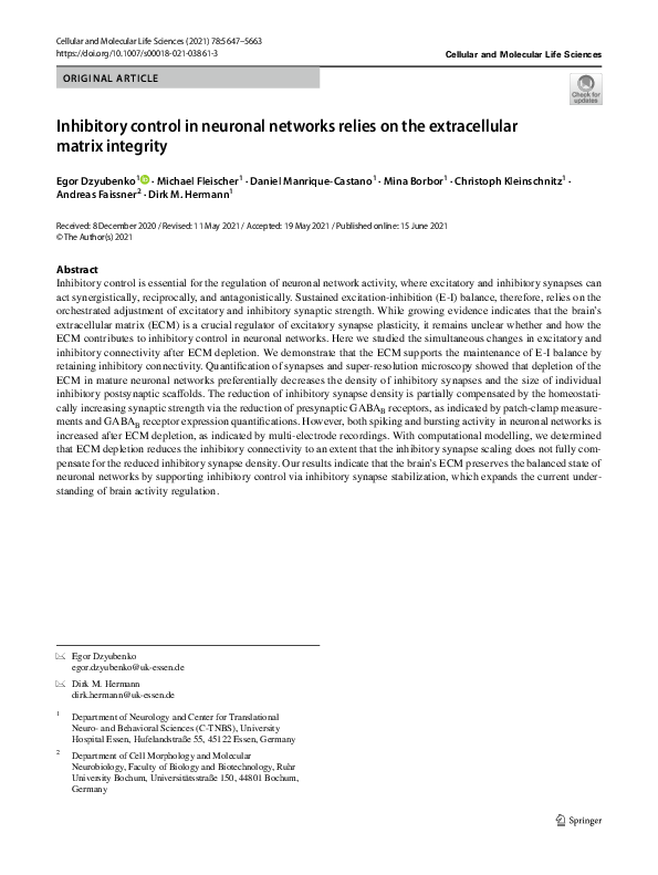 (PDF) Inhibitory control in neuronal networks relies on the ...