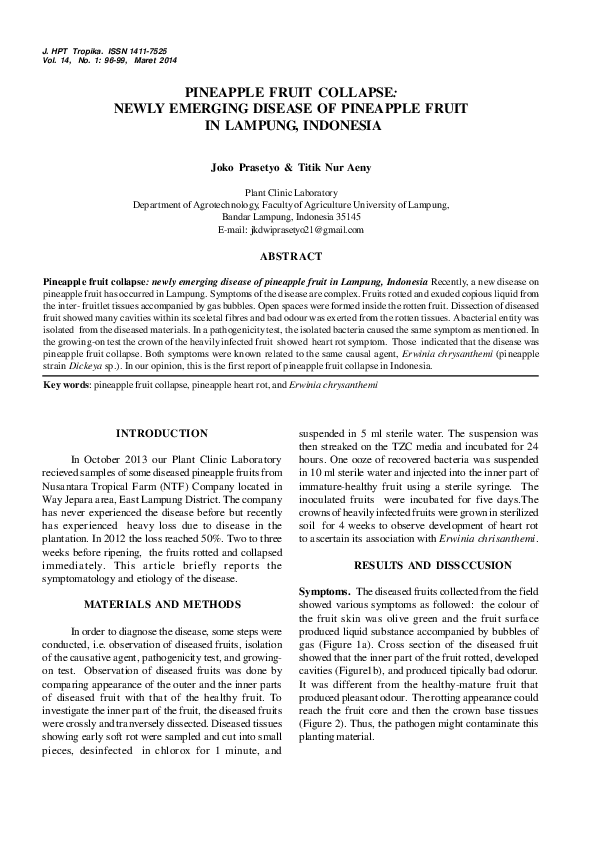 (PDF) Pineapple Fruit Collapse: Newly Emerging Disease of Pineapple Fruit in Lampung, Indonesia