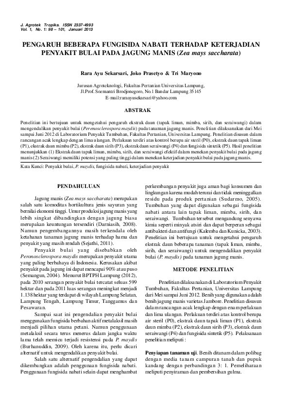 (PDF) PENGARUH BEBERAPA FUNGISIDA NABATI TERHADAP KETERJADIAN PENYAKIT BULAI PADA JAGUNG MANIS ...