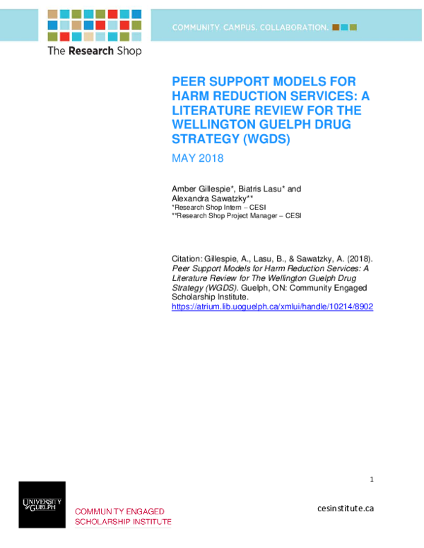 (PDF) Peer Support Models for Harm Reduction Services: A Literature ...