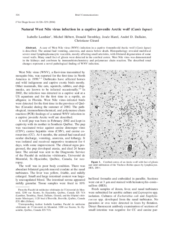 (PDF) Natural West Nile virus infection in a captive juvenile Arctic ...