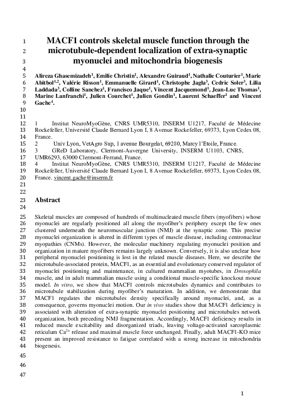 (PDF) MACF1 controls skeletal muscle function through the microtubule ...