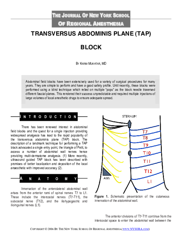(PDF) Transversus Abdominis Plane (TAP) Block