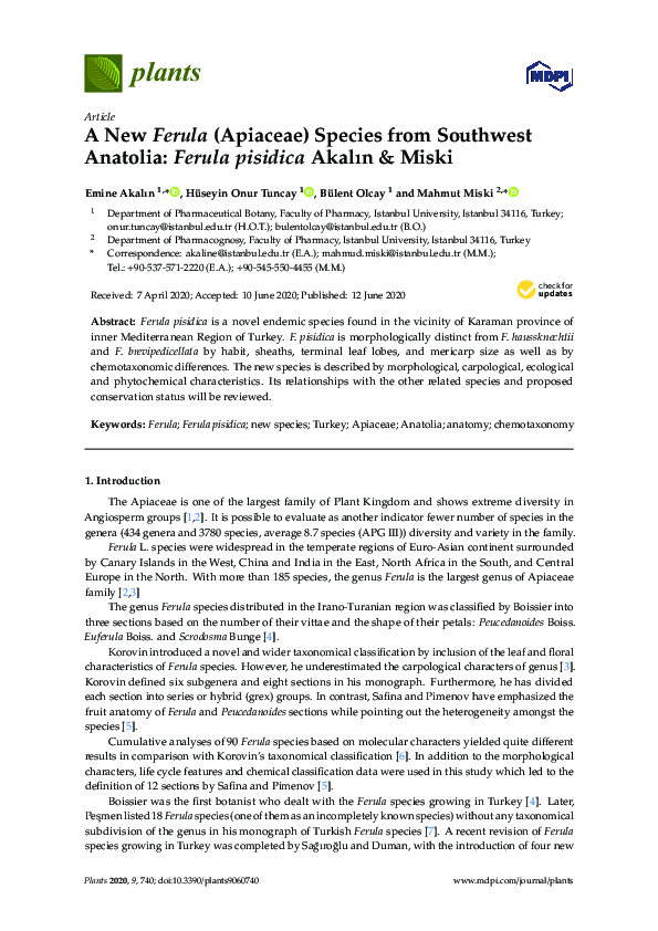 (PDF) A New Ferula (Apiaceae) Species from Southwest Anatolia: Ferula ...