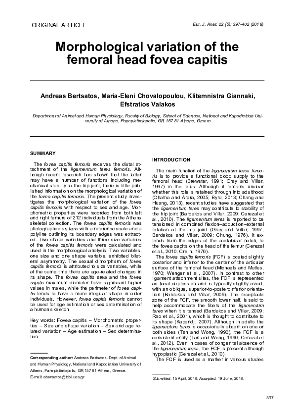 (PDF) Morphological variation of the femoral head fovea capitis