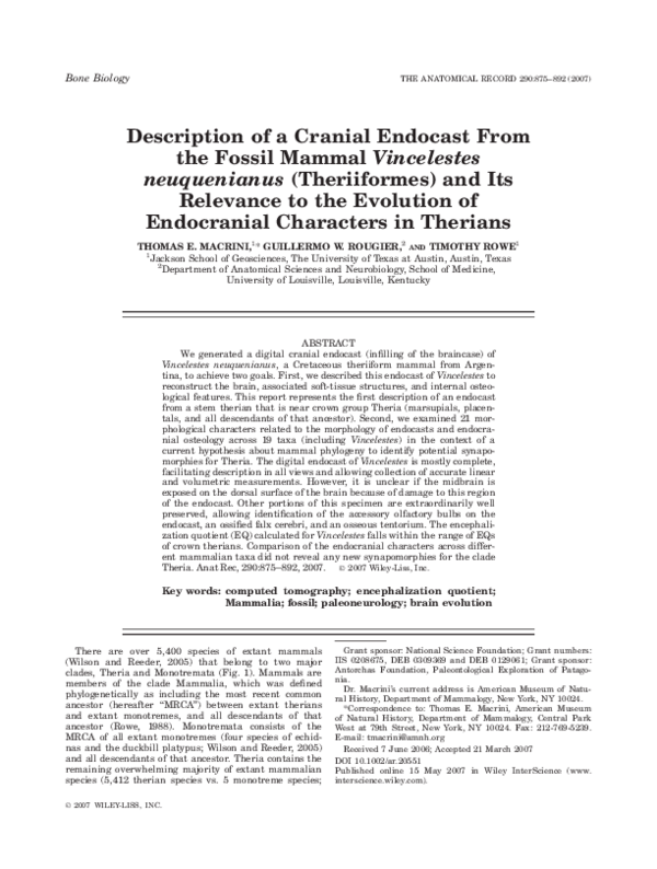 (PDF) Description of a Cranial Endocast from the Fossil ...