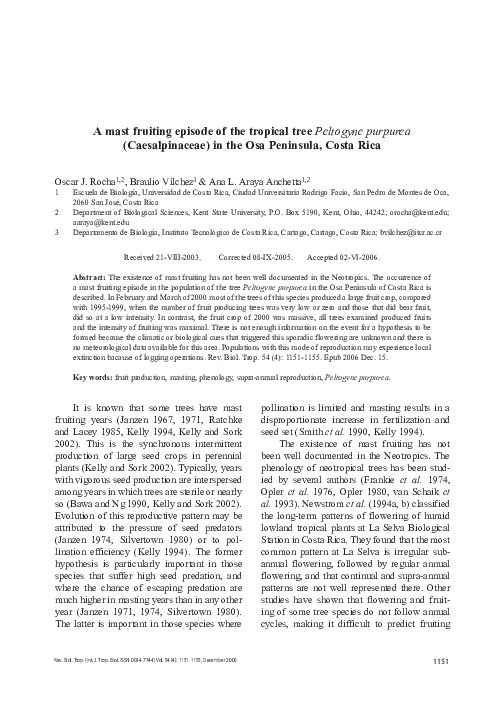 (PDF) A mast fruiting episode of the tropical tree Peltogyne purpurea ...