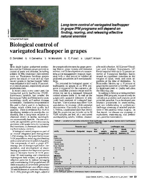 (PDF) Biological control of variegated leafhopper in grapes