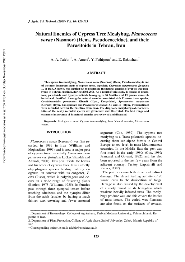 (PDF) Natural Enemies of Cypress Tree Mealybug, Planococcus vovae ...