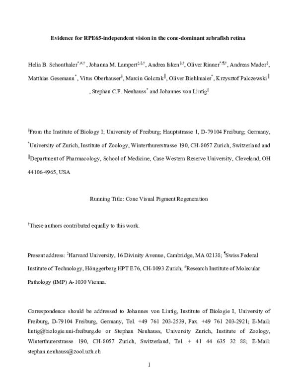 (PDF) Evidence for RPE65-independent vision in the cone-dominated ...