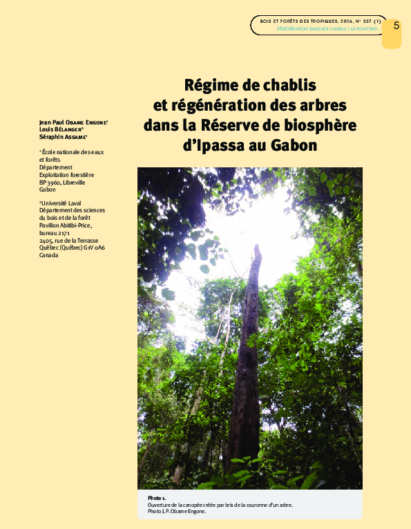 (PDF) Régime De Chablis et Régénération Des Arbres Dans La Réserve De ...