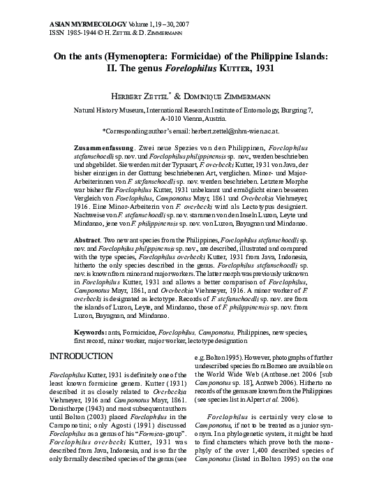 (PDF) On the ants (Hymenoptera: Formicidae) of the Philippine Islands: II. The genus ...